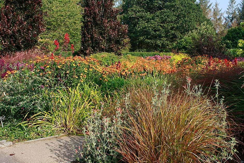 RHS Garden Rosemoor | Fun, family days out & events in North Devon ...